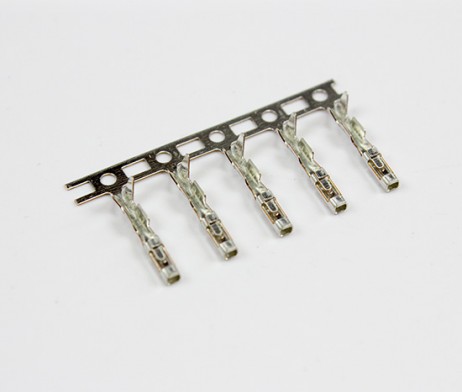 Female Dupont Terminal - Molex (5 Count)